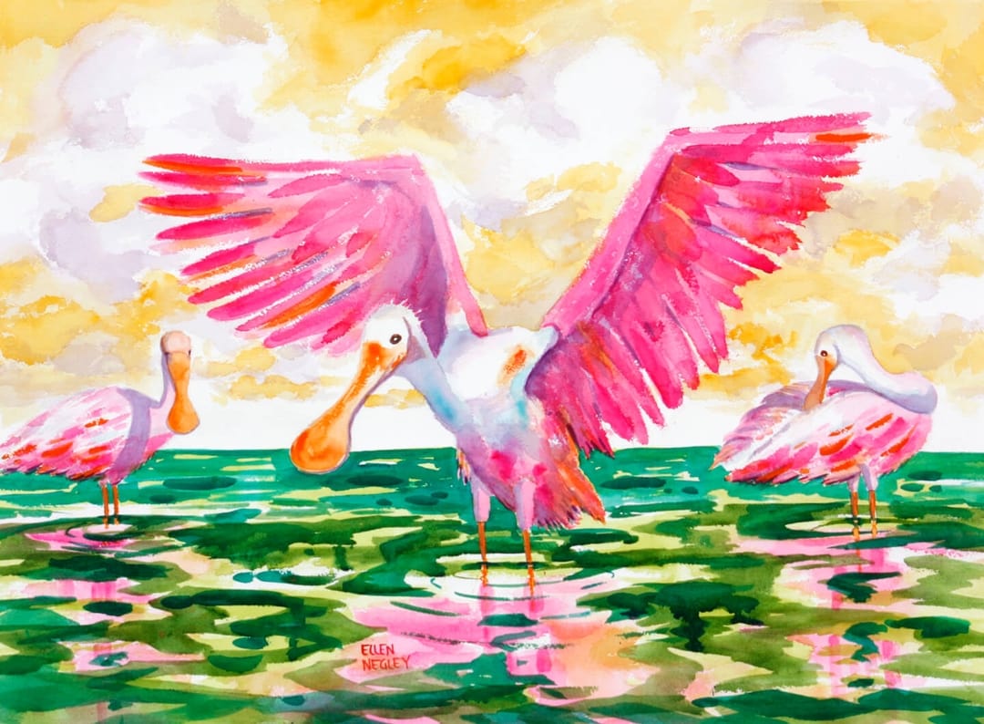 Sunny Spoonbills | Ellen Negley Watercolors