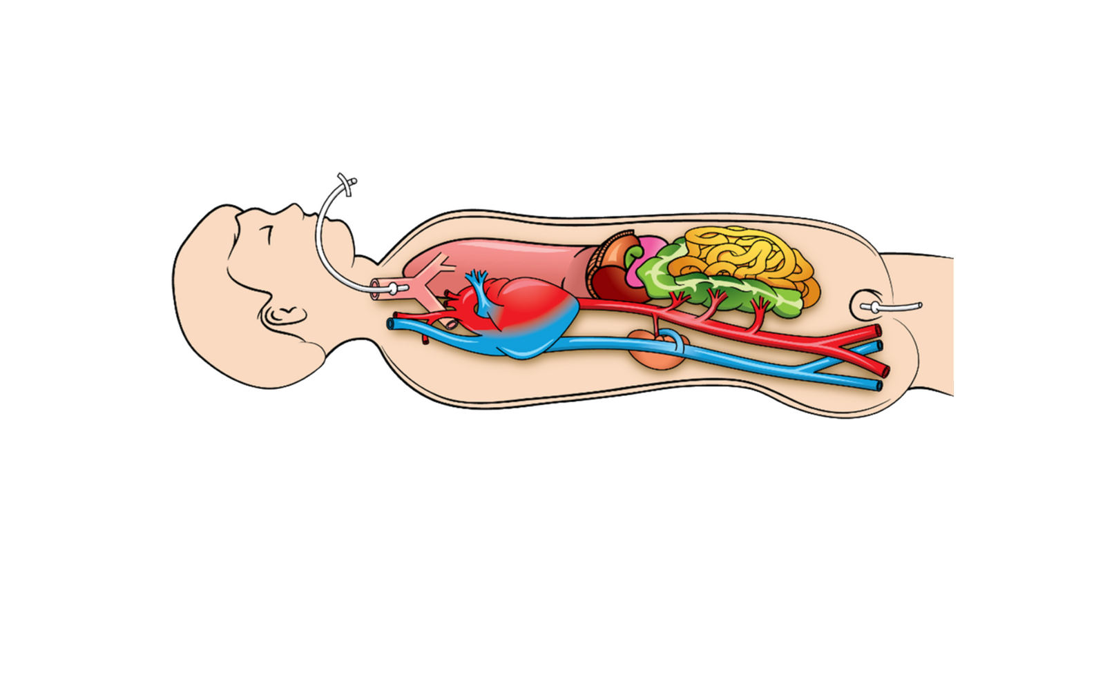 Intra-abdominal hypertension and pressure monitoring