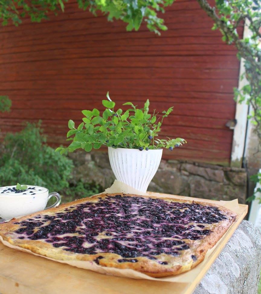 Spelttimustikka piirakka - Birkkalan reseptit