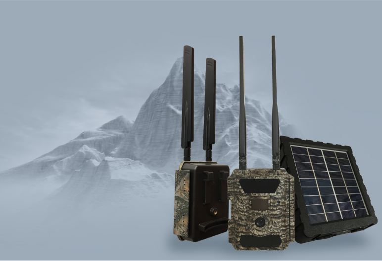 Cellular Security Camera System | Barn Owl