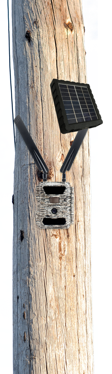 Cellular Security Camera System | Barn Owl