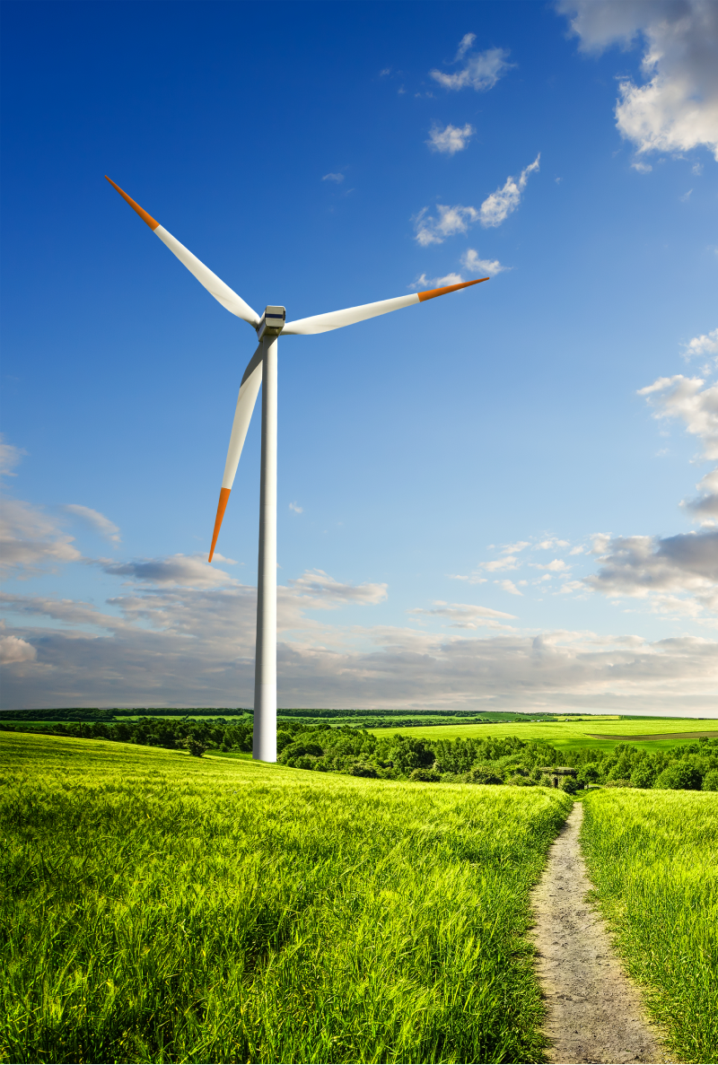 Cellular Security Camera System | Barn Owl