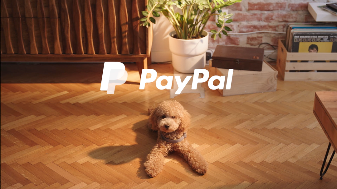 handplayed — full-service video production