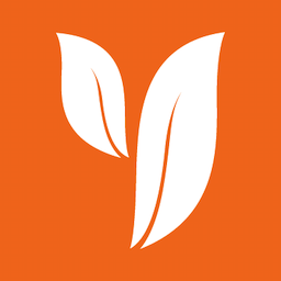 Dylan Snowden - Webflow