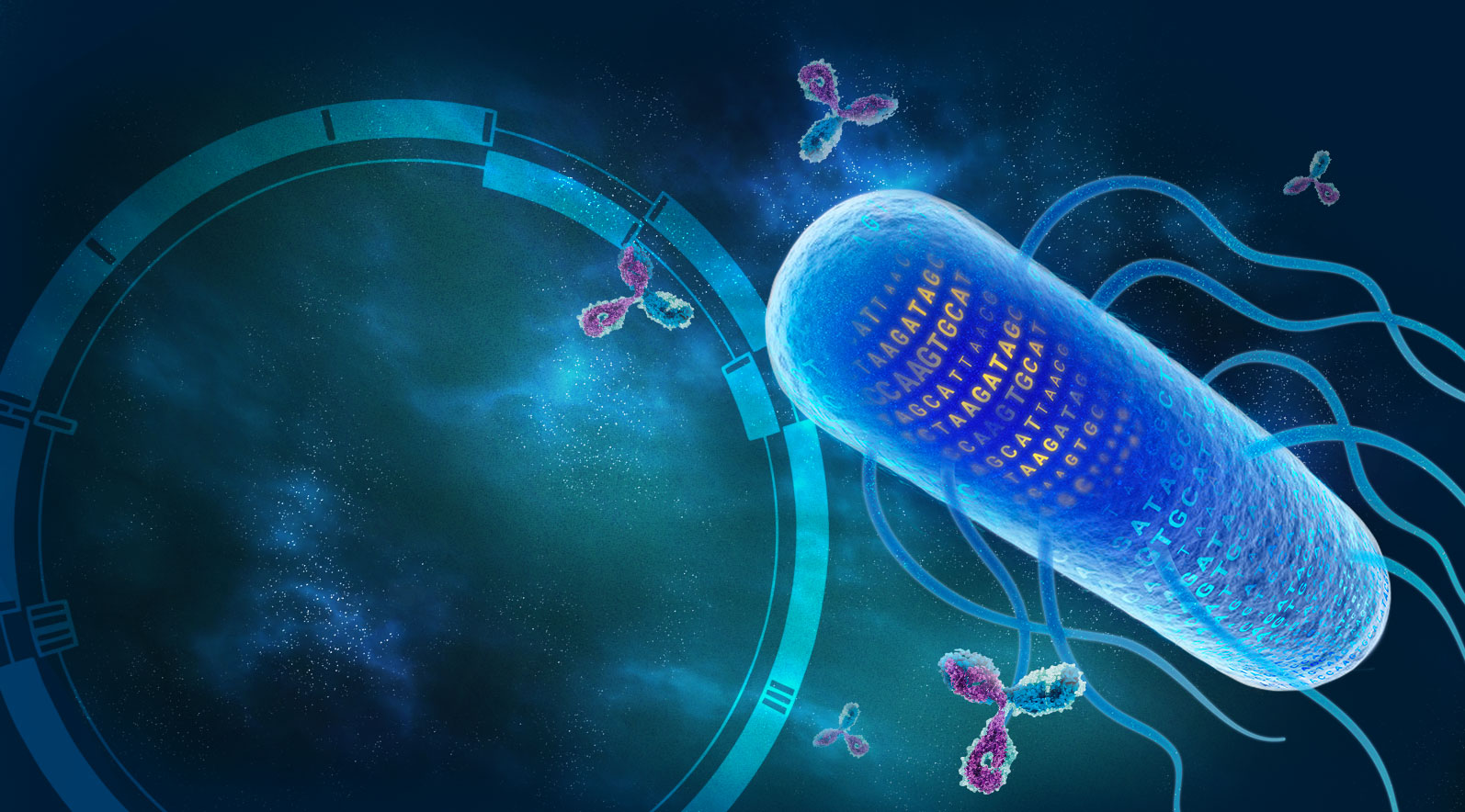 Prokarium - Where immunology meets engineering biology.