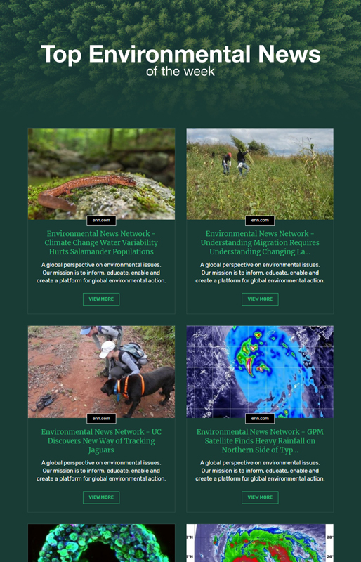 News Curation Templates | elink.io