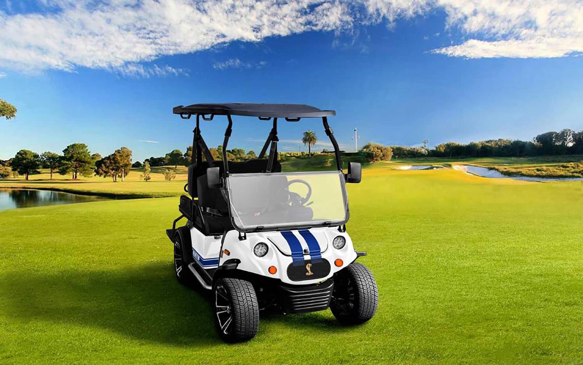 COBRA CART Be King Of The Course With A Shelby Golf Cart