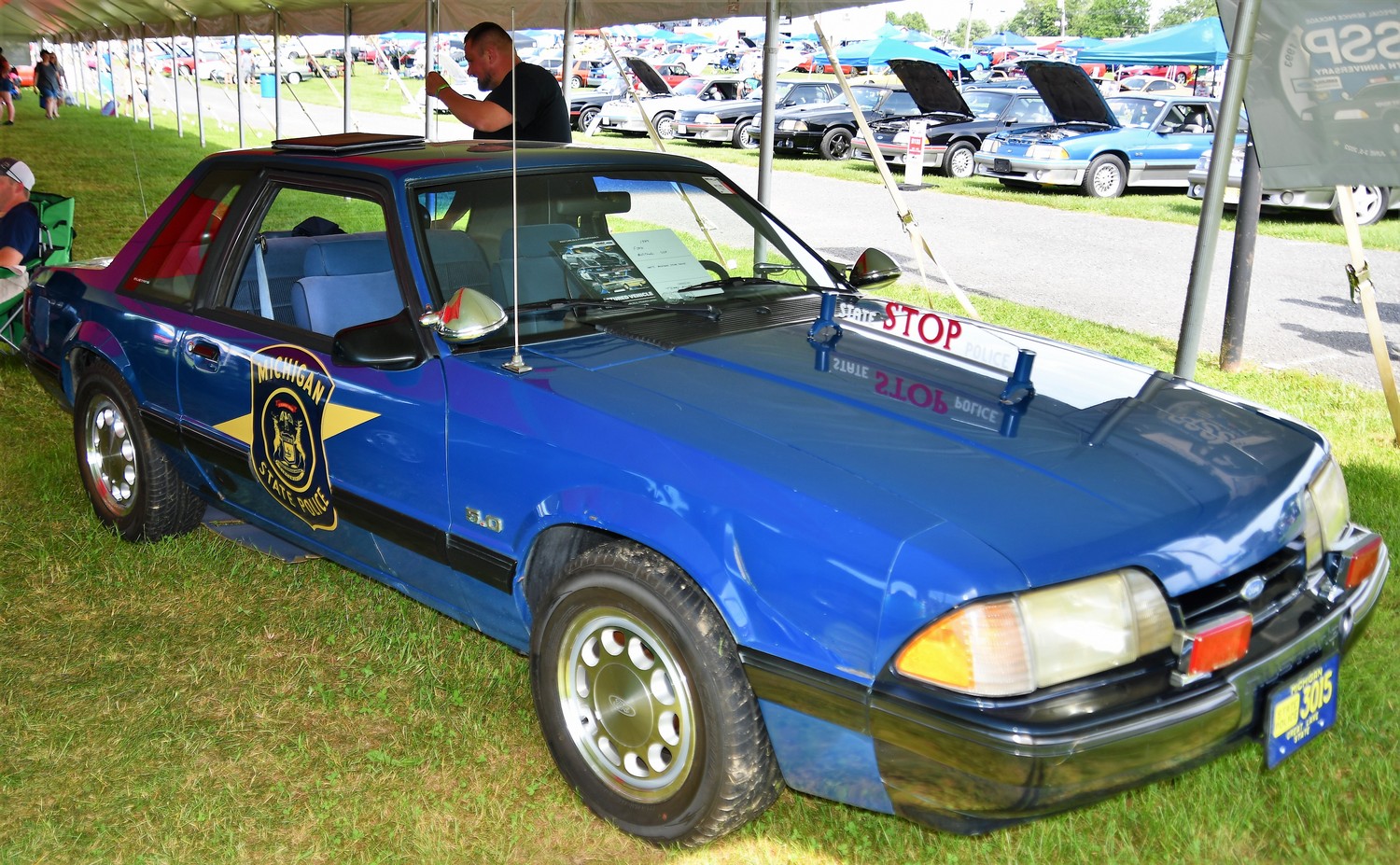 SPECIAL SERVICE PACKAGE (SSP) MUSTANGS