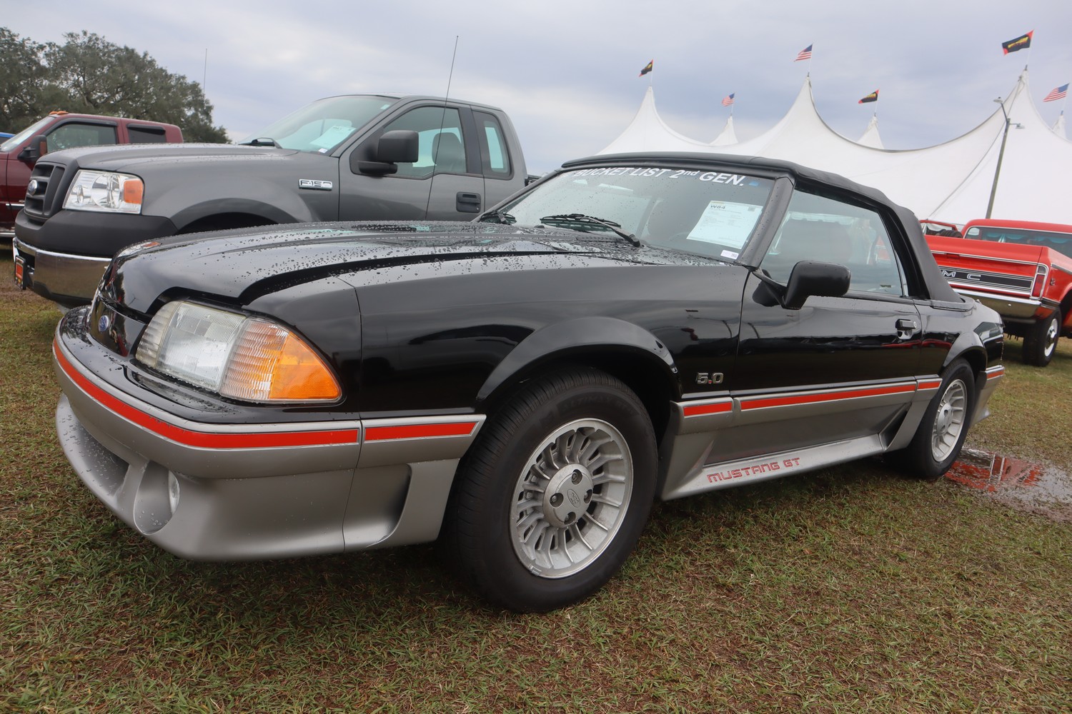 MECUM MUSTANGS