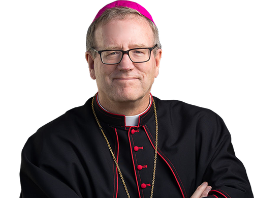 Letter to a Suffering Church: A Bishop Speaks on the Sexual Abuse Crisis