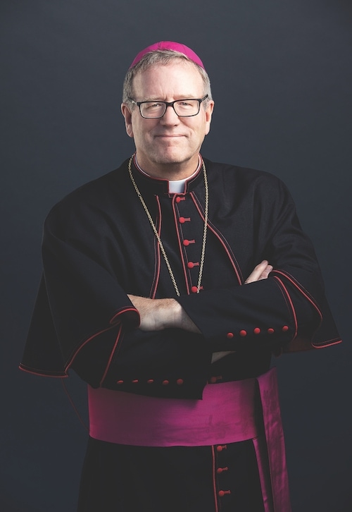Letter to a Suffering Church: A Bishop Speaks on the Sexual Abuse Crisis