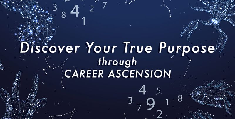 Plasmoid Unification Model Overview - Malcolm Bendall