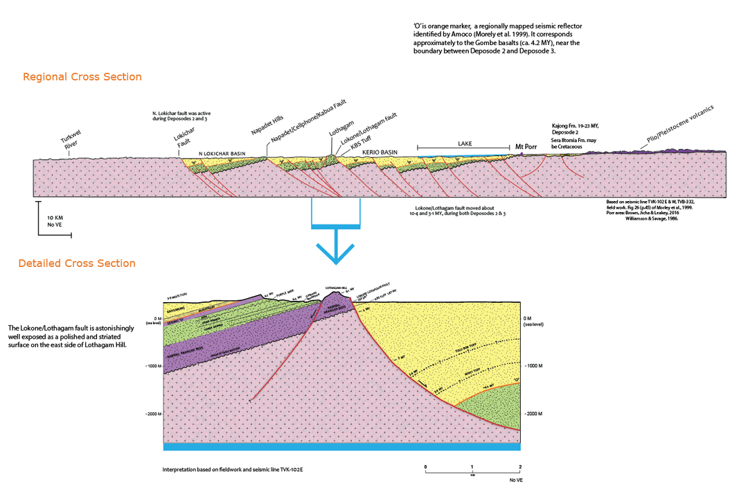 Regional Cross Sections