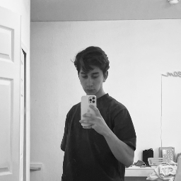 David Pina - Webflow