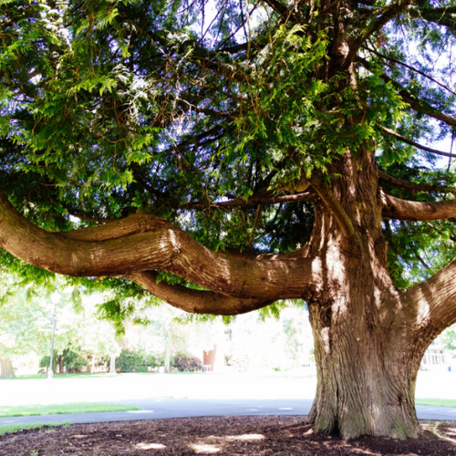 100 Things to Do Before You're 12 - Generation Wild