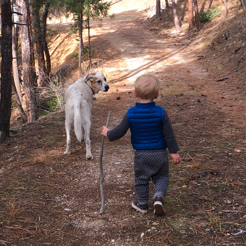 100 Things to Do Before You're 12 - Generation Wild