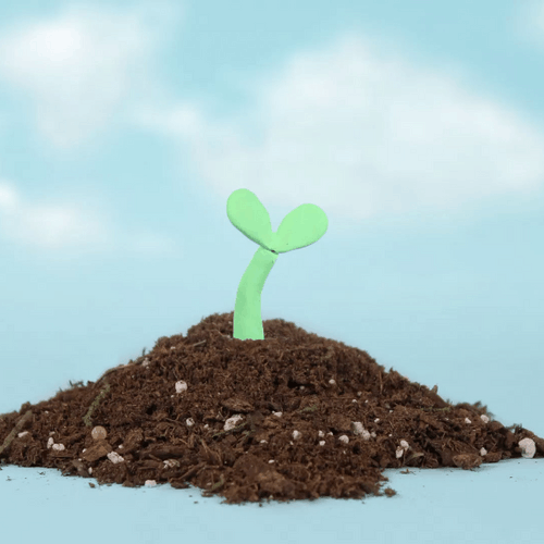 100 Things to Do Before You're 12 - Generation Wild