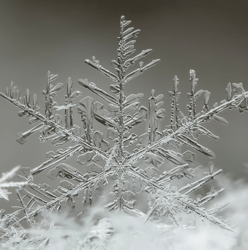 100 Things to Do Before You're 12 - Generation Wild