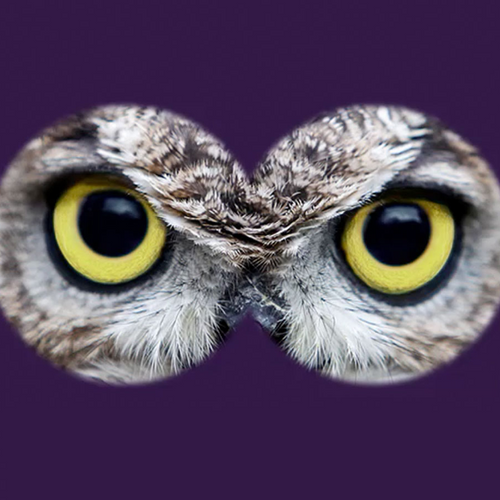 100 Things to Do Before You're 12 - Generation Wild