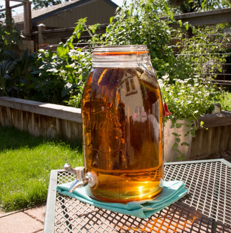 100 Things to Do Before You're 12 - Generation Wild