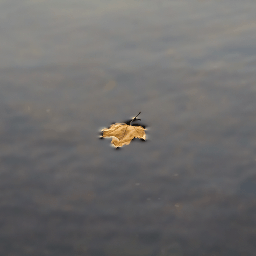 100 Things to Do Before You're 12 - Generation Wild