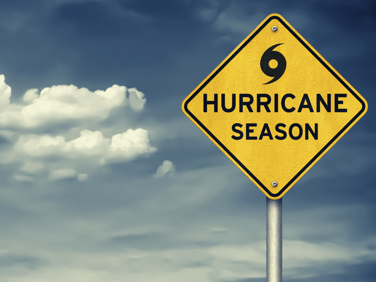 Hurricane Response: A Guide to State, Local, and Federal Safety Net ...