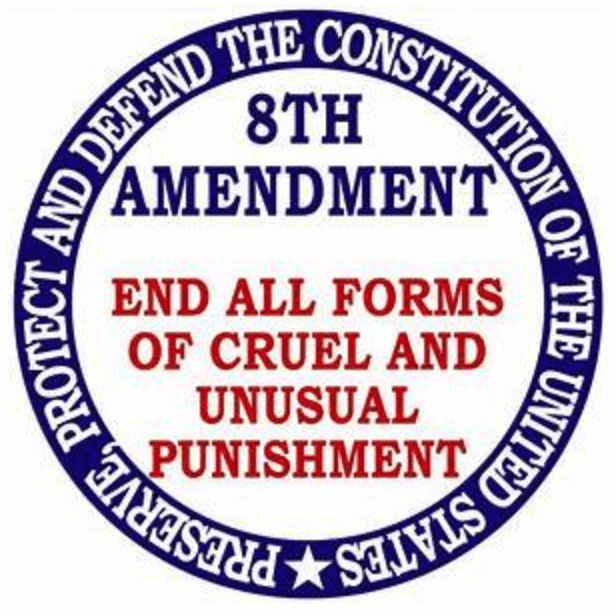 What is the 8th Amendment?