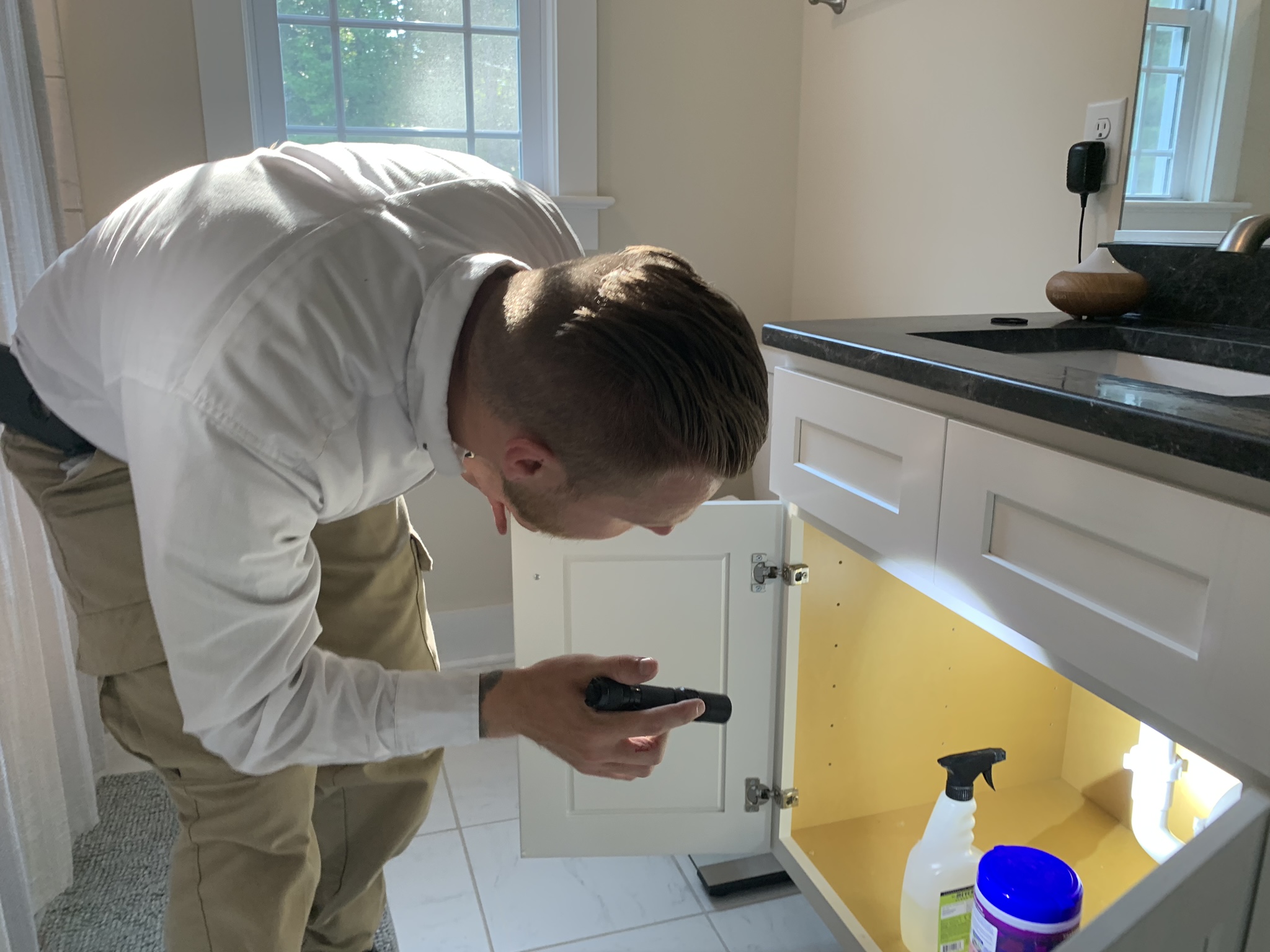 Pest Control - Absolute Pest Solutions LLC