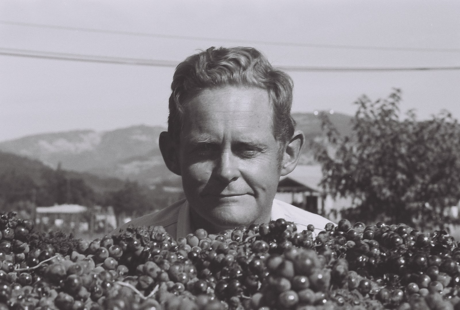 Fisher Vineyards | Six Decades of Excellence