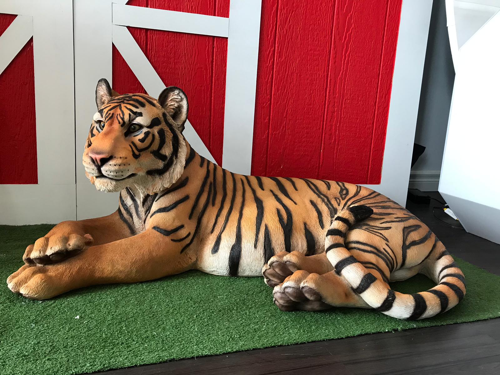 Tiger Prop - Safari Theme