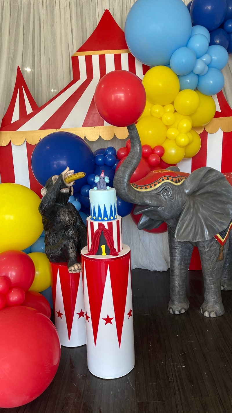 Circus Tent Backdrop open middle