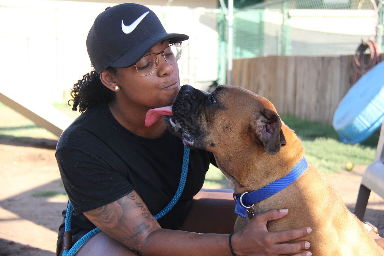 Boxer Luv Rescue, Phoenix AZ: Helping homeless dogs