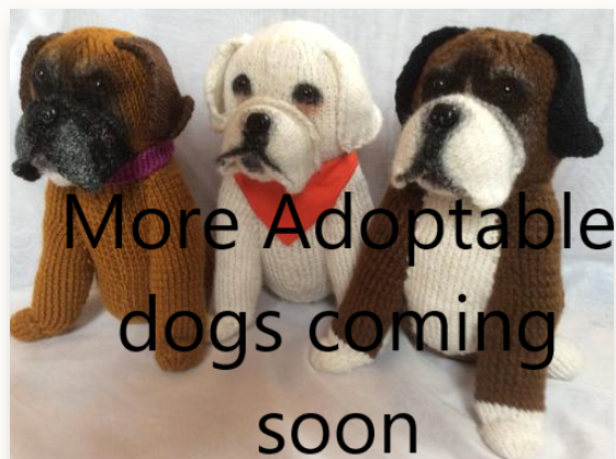 Boxer Luv Rescue, Phoenix AZ: Helping homeless dogs