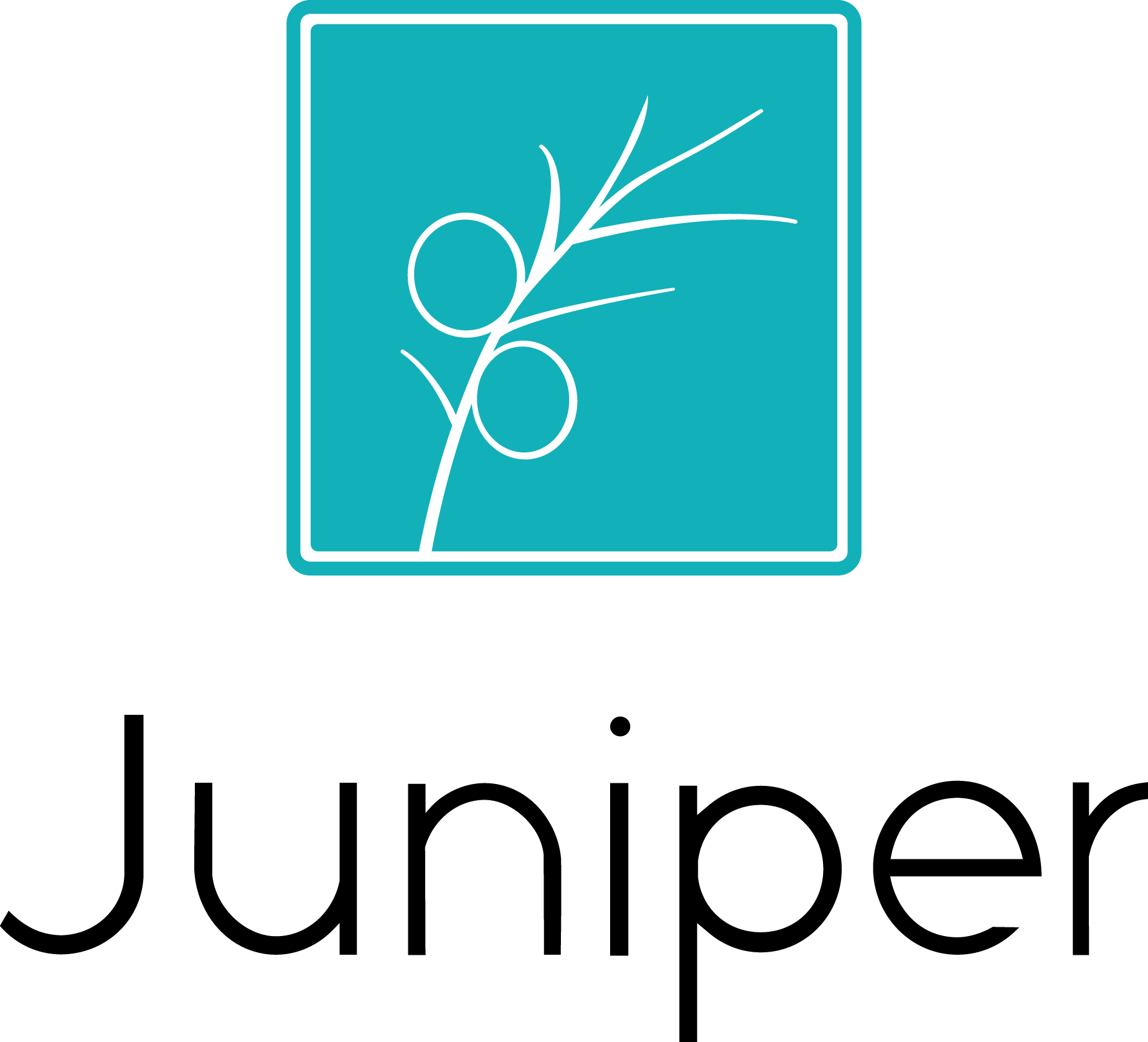 Juniper UX Case Study