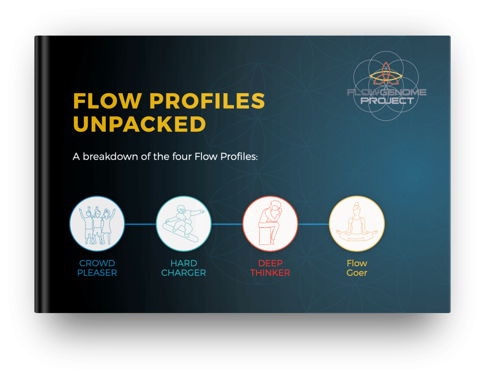 Flow Profile - Flow Goer
