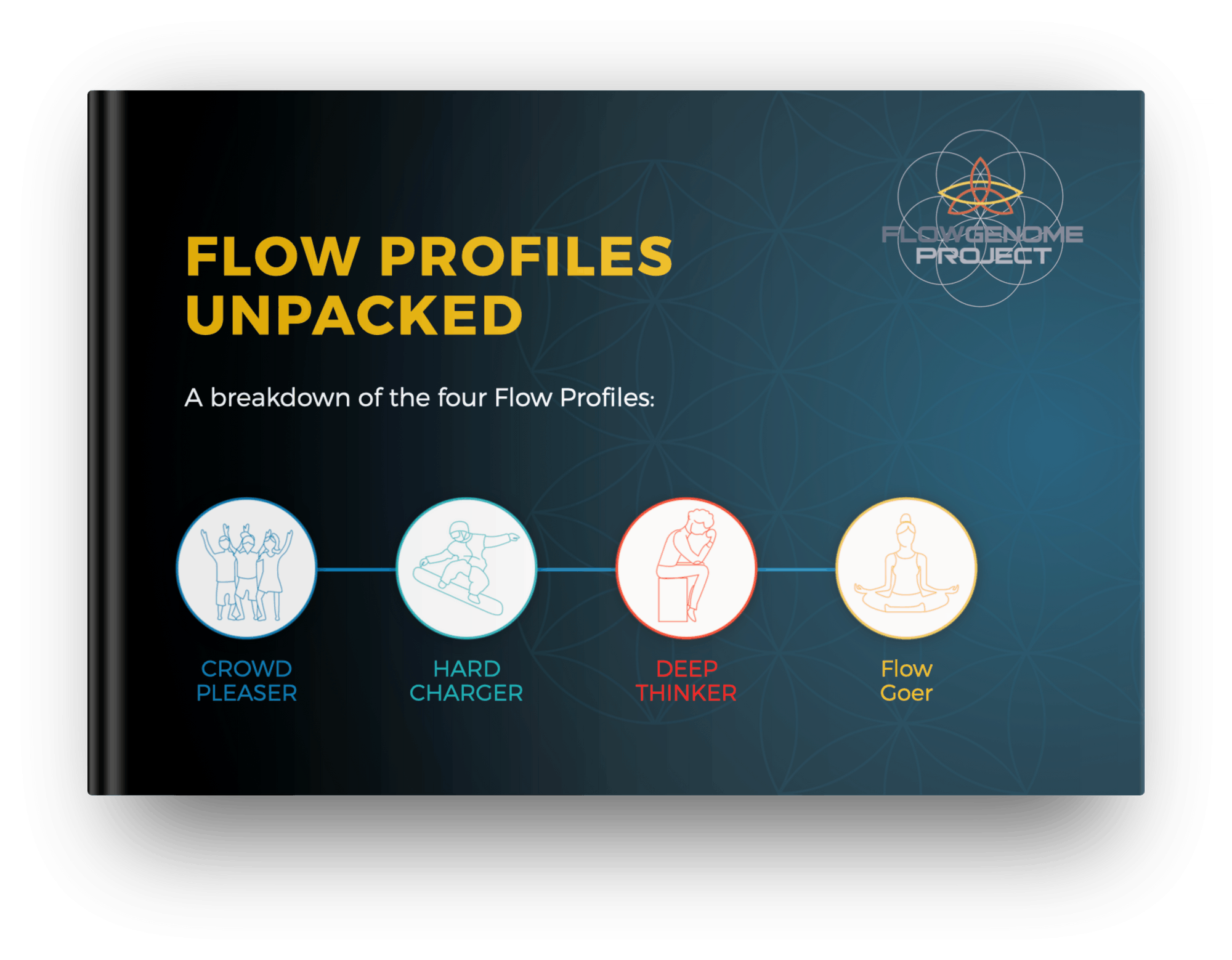 Flow Profile - Flow Goer
