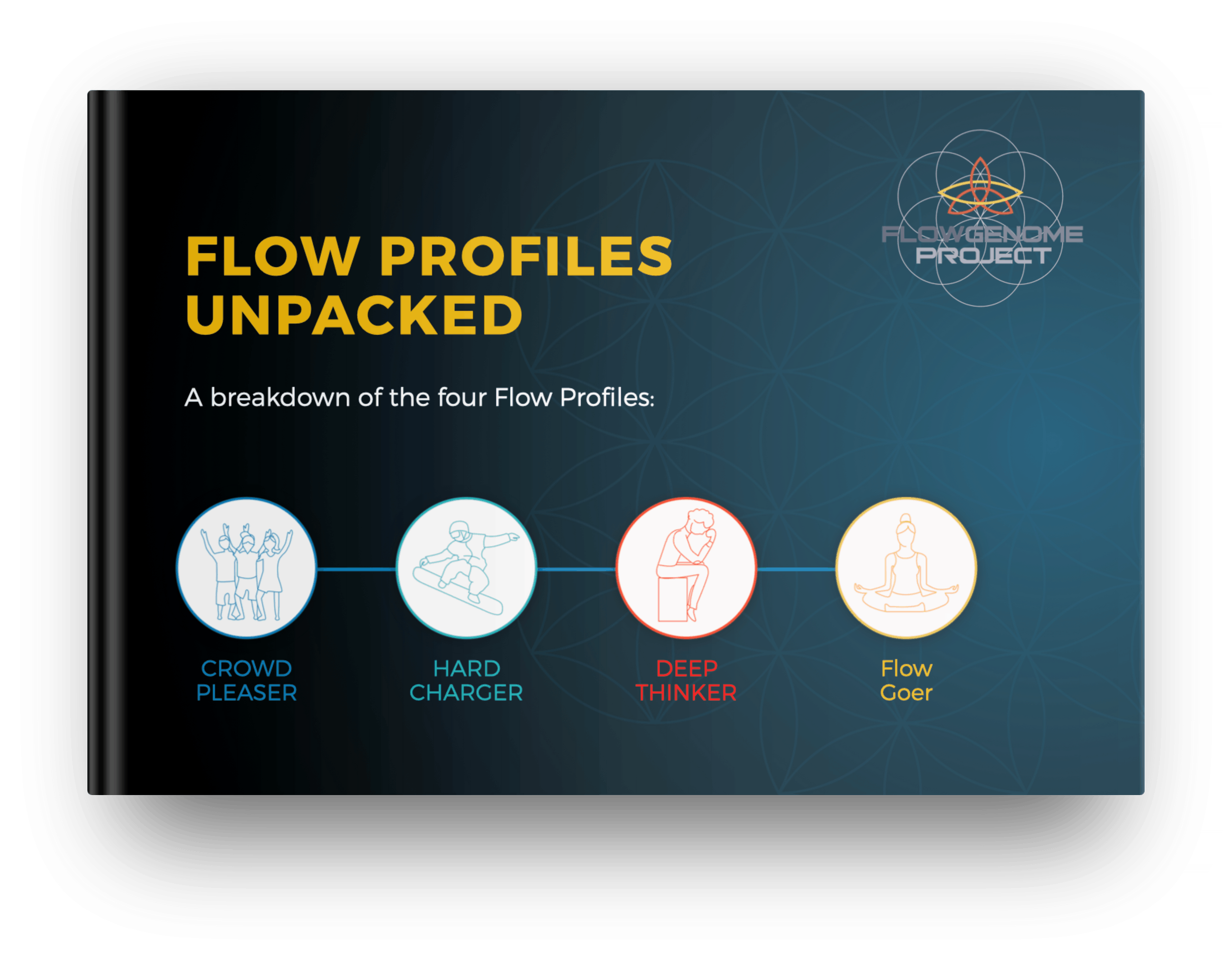 Flow Profile - Flow Goer