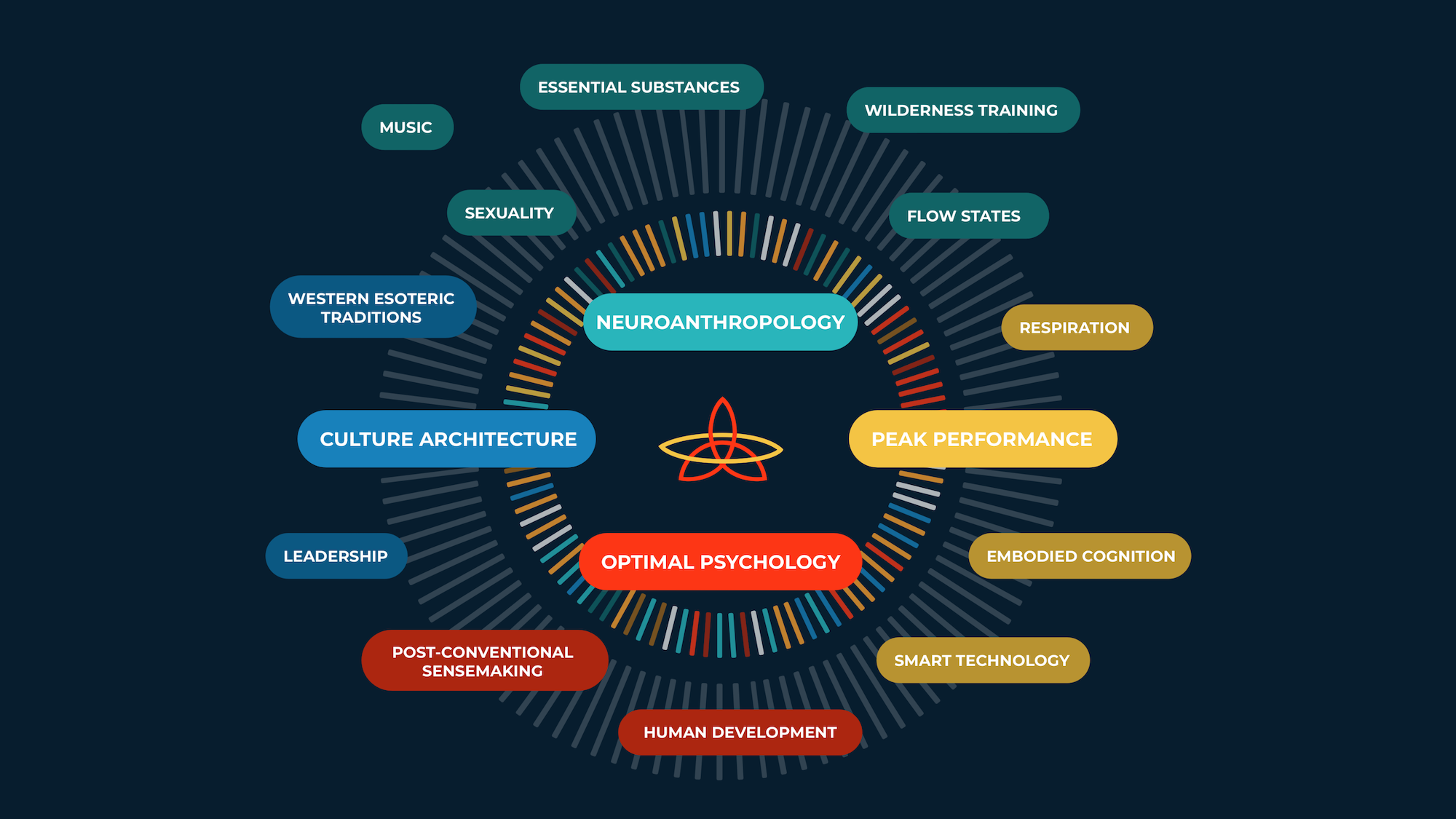 Flow Genome Project: Unlocking The Next Level Of Human Performance