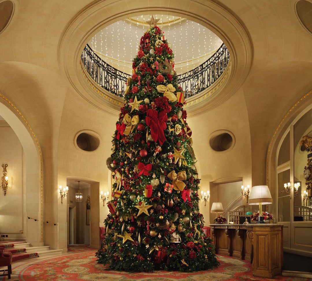 London’s most stylish Christmas trees | Studio 104