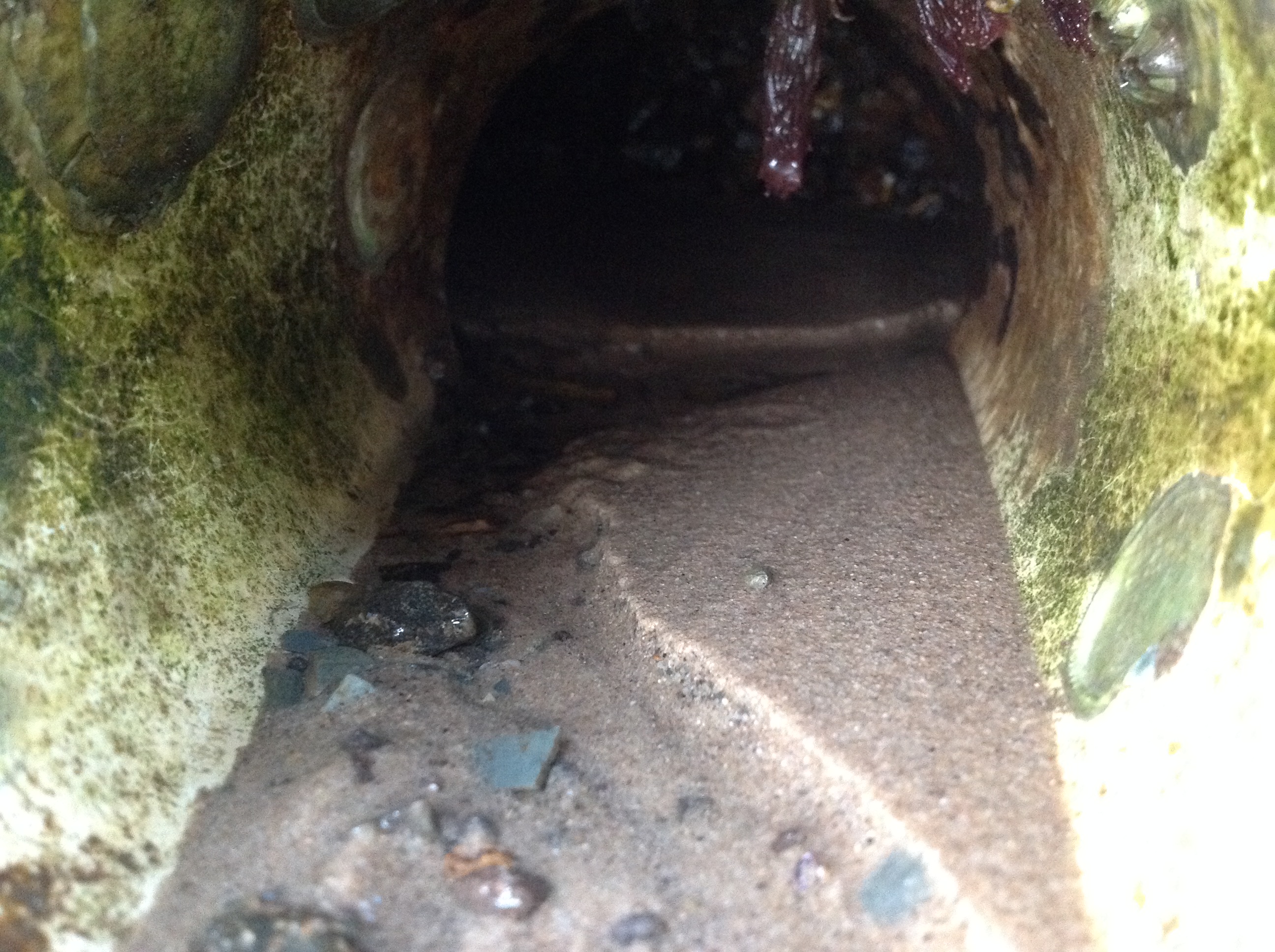 What We Do | The Canal Wall Doctor | Correction and Repair Canal Walls