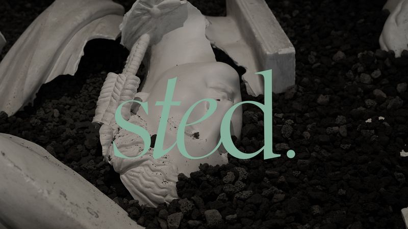 Our standard is your taste_ Sted