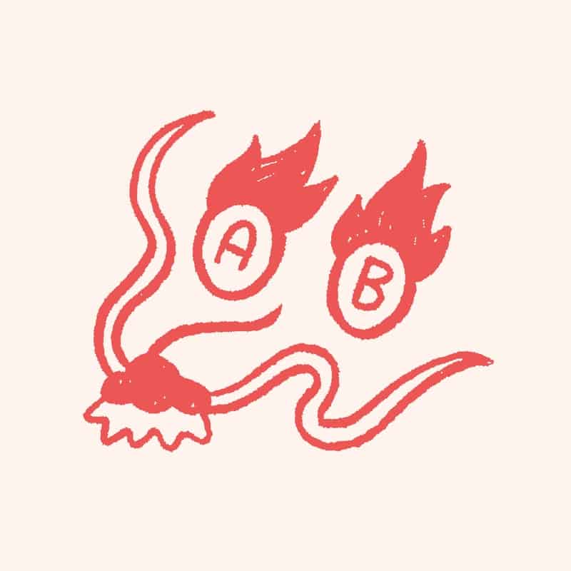 Authentic Bites Dumpling House