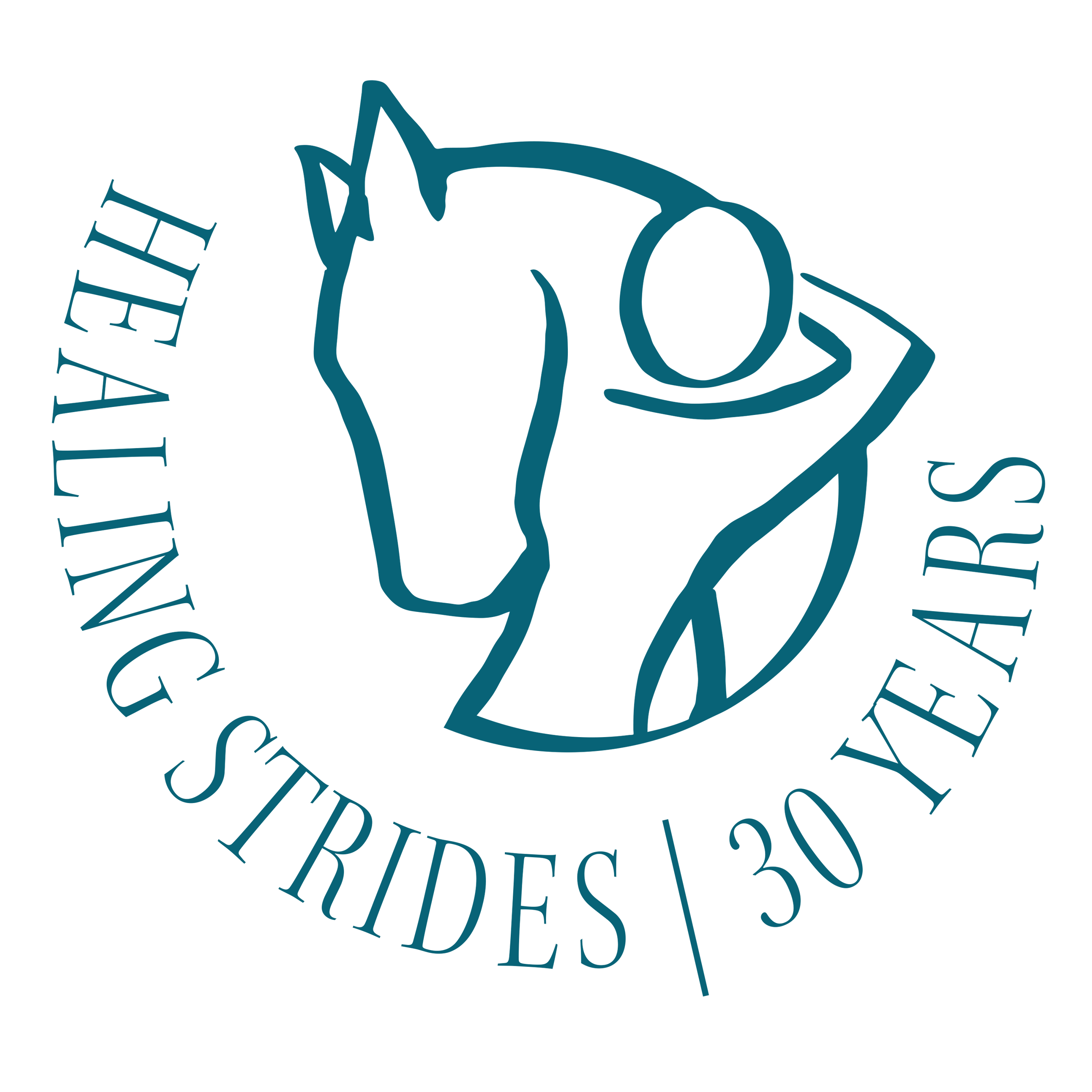 Healing Strides of Virginia | Equine Therapy | Equine Assisted Programs ...