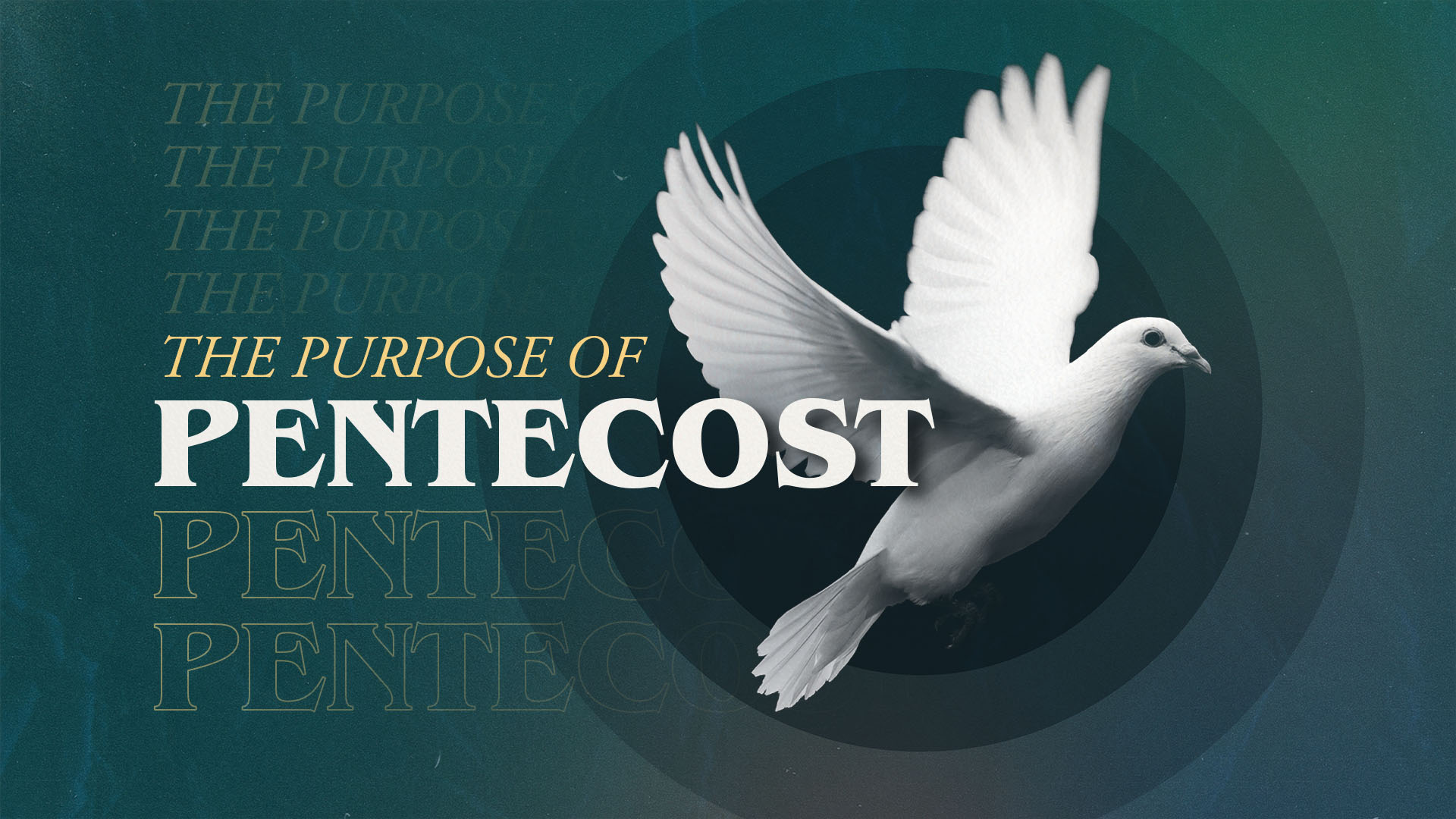 The Purpose of Pentecost | Awaken Life Church