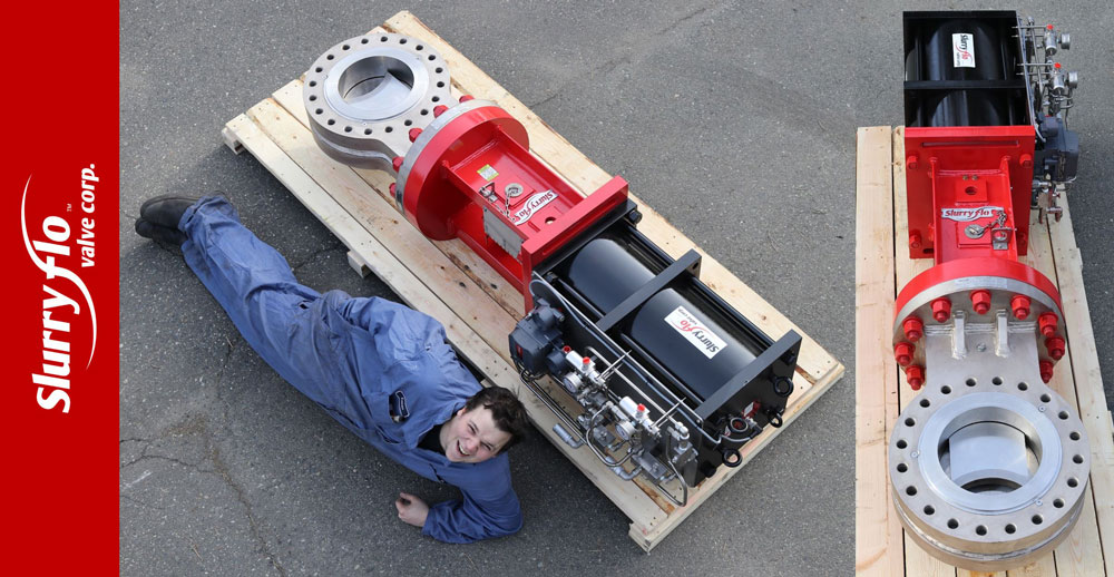 12" ANSI 600 Control Valve