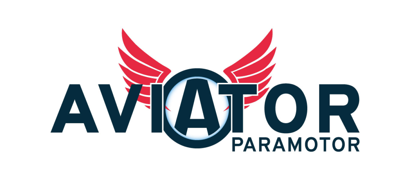 Aviator Logo Design