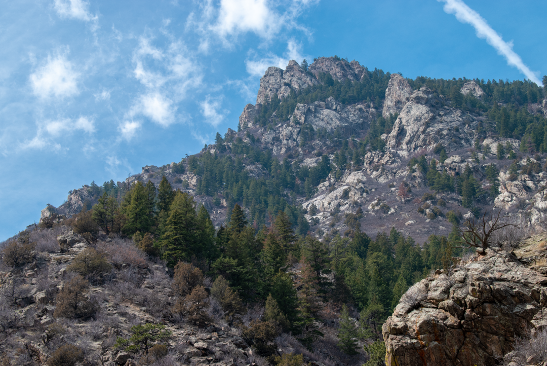 Waterton Canyon | Hike Near Denver, Colorado | Wildlife