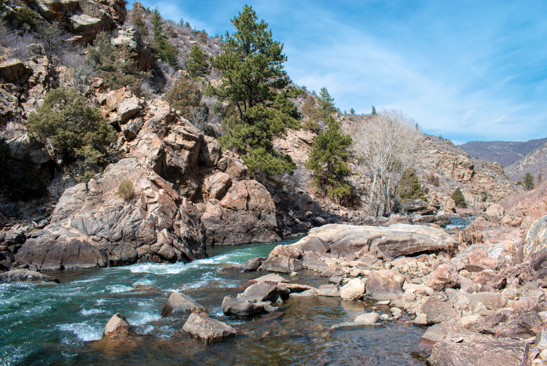 Waterton Canyon | Hike Near Denver, Colorado | Wildlife