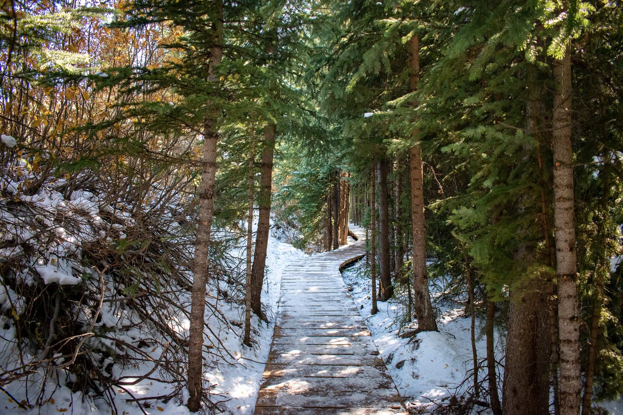 Breckenridge Troll Hike | Family Friendly Hike in Colorado