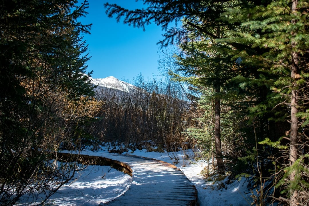 Breckenridge Troll Hike | Family Friendly Hike in Colorado